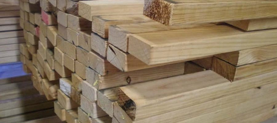 MS Chavi :: Shree Sahjanand Vijay